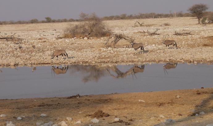 Cabinet approves hunting season dates | nbc