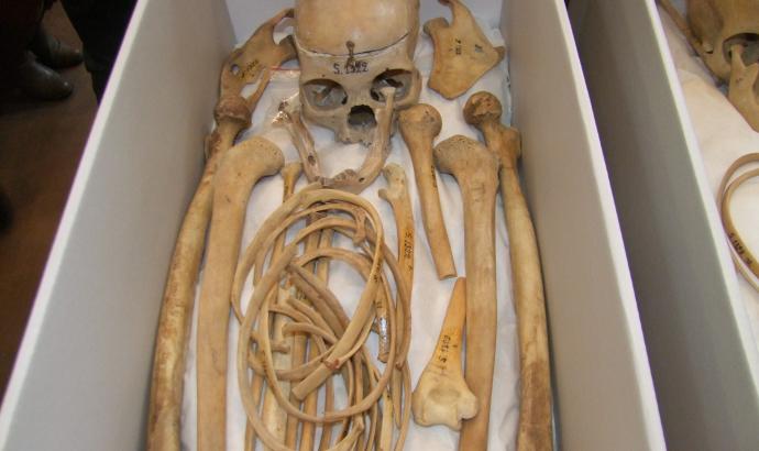 Human remains from Namibia identified in South African museums | nbc