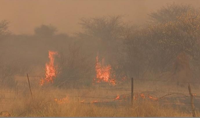 Veld fires destroy thousands of hectares of agricultural land | nbc