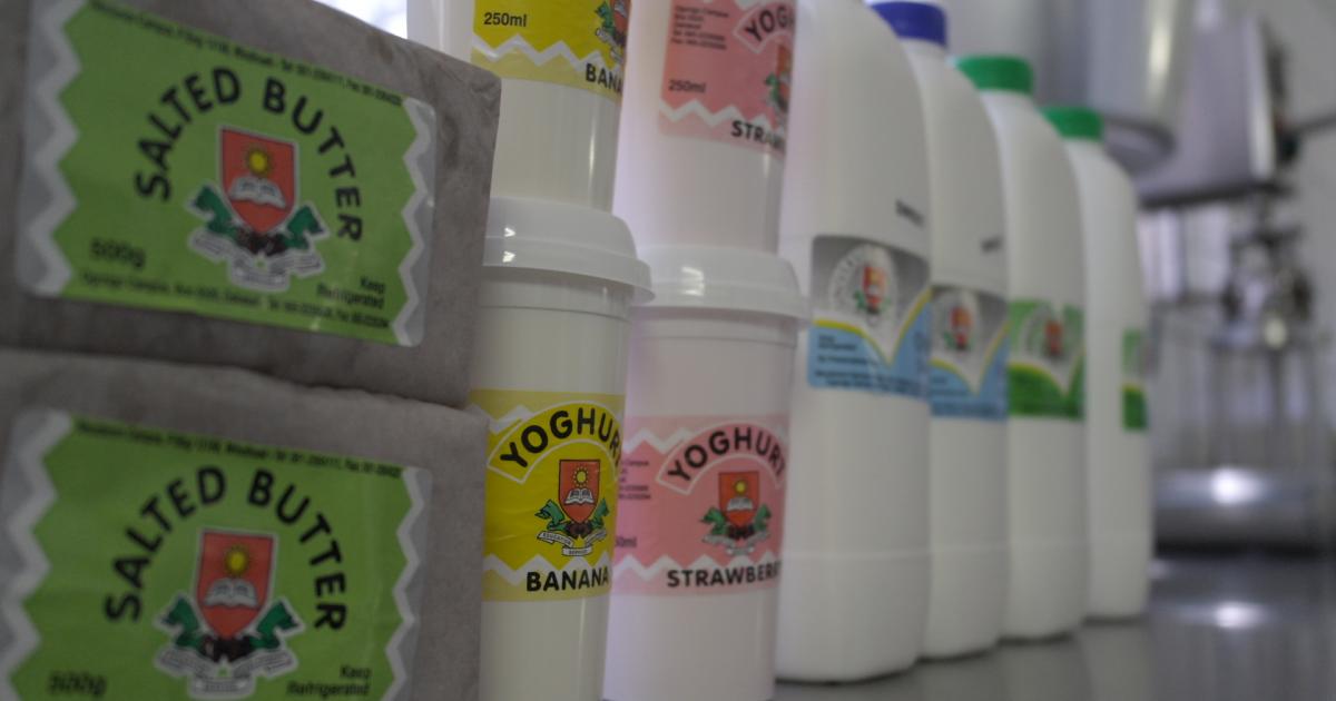 Cheap South African imports milk Namibian dairy producers dry | nbc