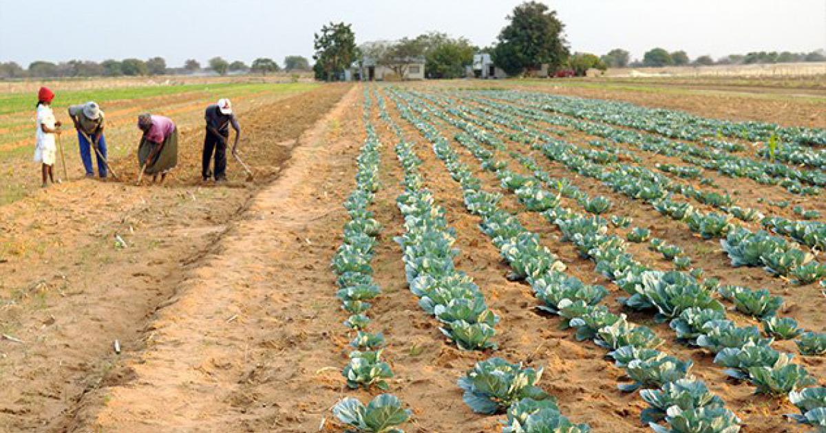 Stampriet Aquifer Uranium Mining Committee welcomes withdrawal of ...
