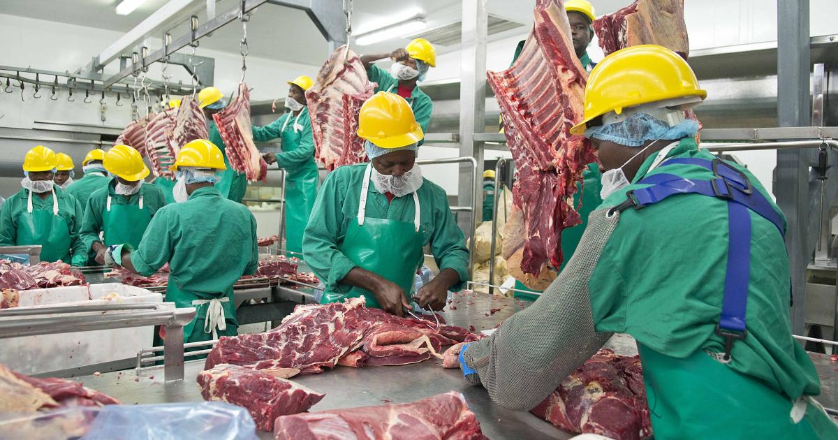 Namibia's economy projected to grow by 2,1% | nbc