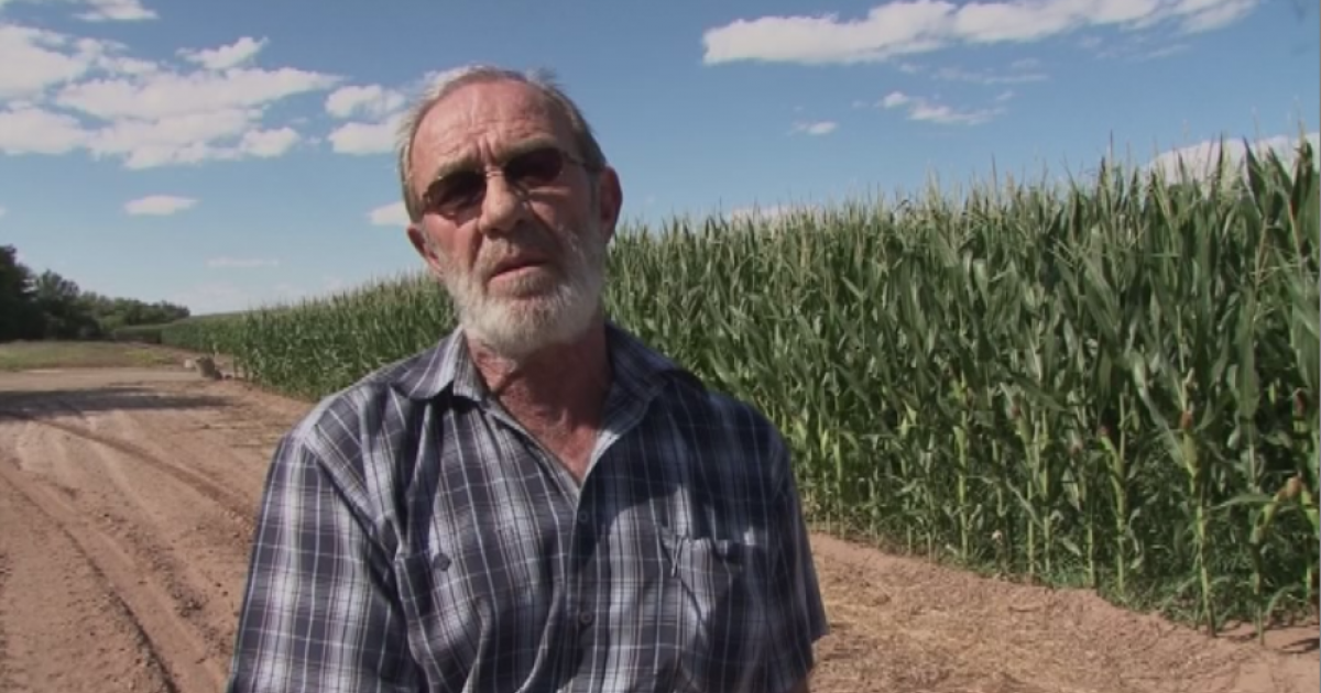 Hardap Irrigation scheme farmers confident of a bumper harvest | nbc