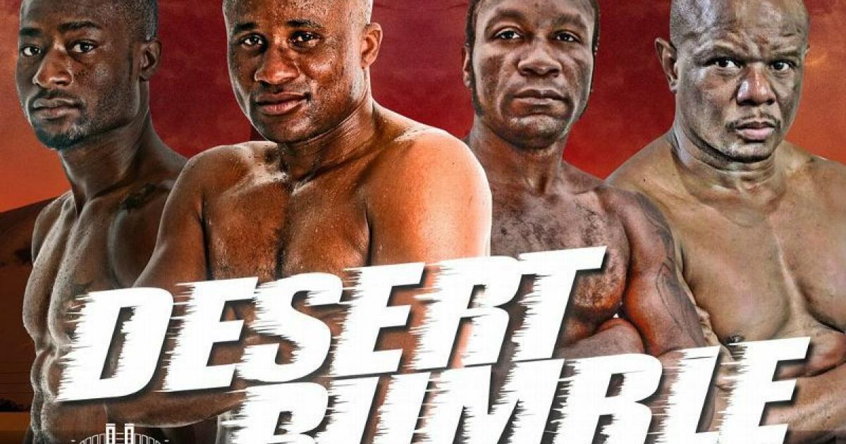 Namibian boxers triumph | nbc