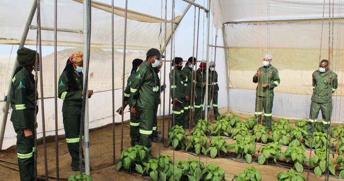 UNAM Ogongo Campus Agricultural annual conference underway | nbc