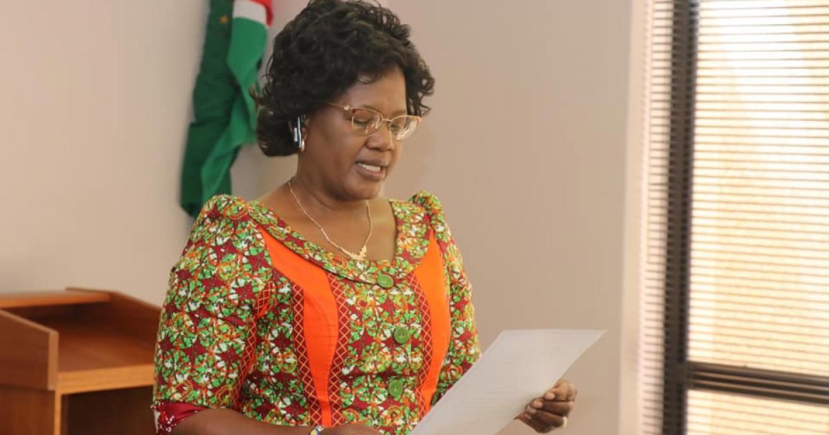 Finance Deputy Minister introduces changes to VAT, Stamp Duties and ...