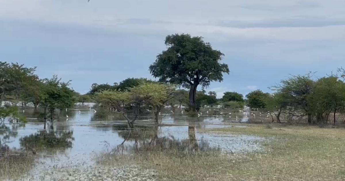 Flood waters from Angola reach villages in North Namibia | nbc
