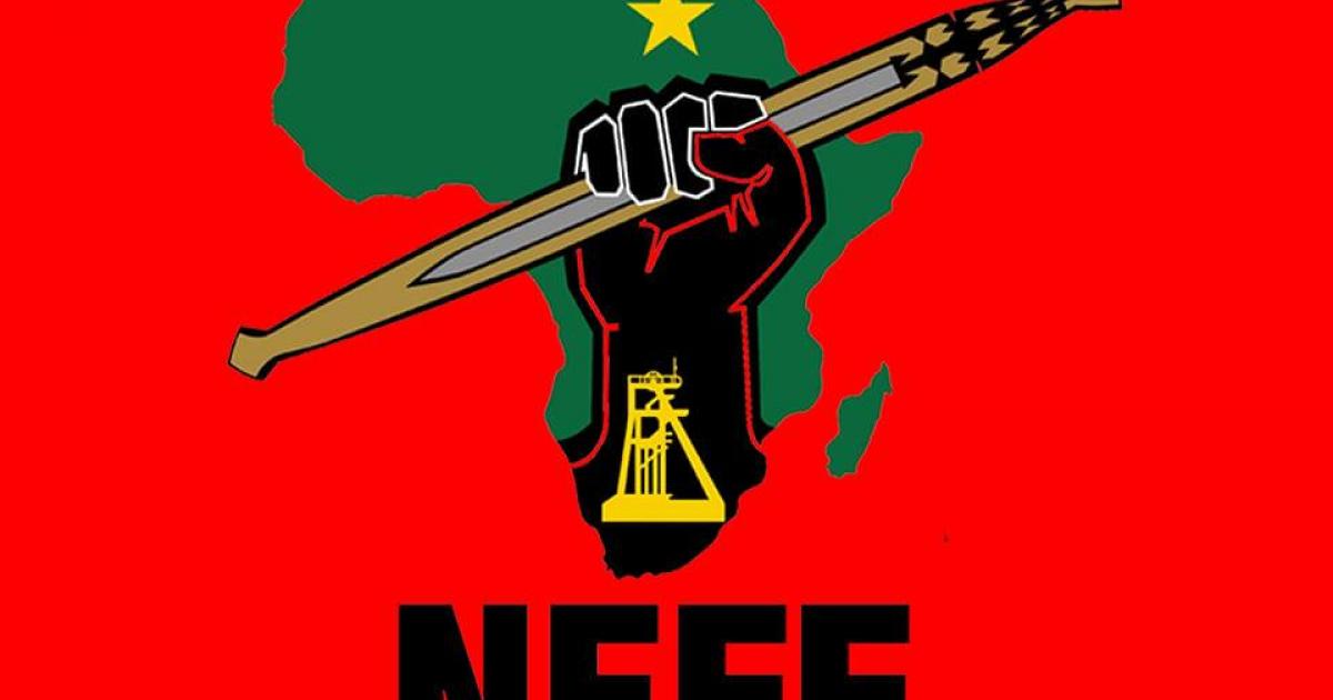 NEFF calls on all tertiary institutions to stop asking for registration ...