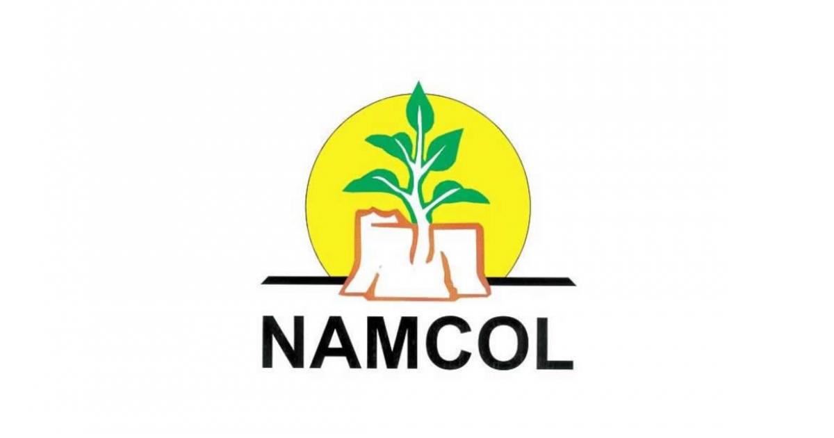 NAMCOL prepared to admit more failed learners | nbc