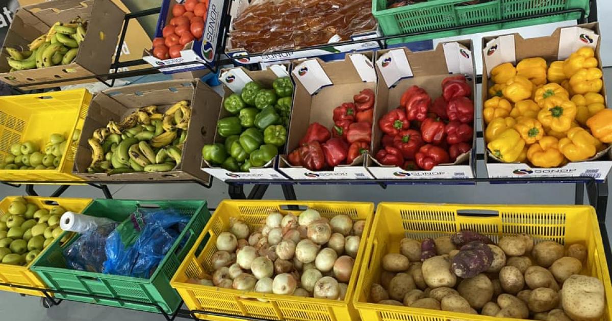 Young farmers urged to help reduce Namibia's dependence on food imports ...