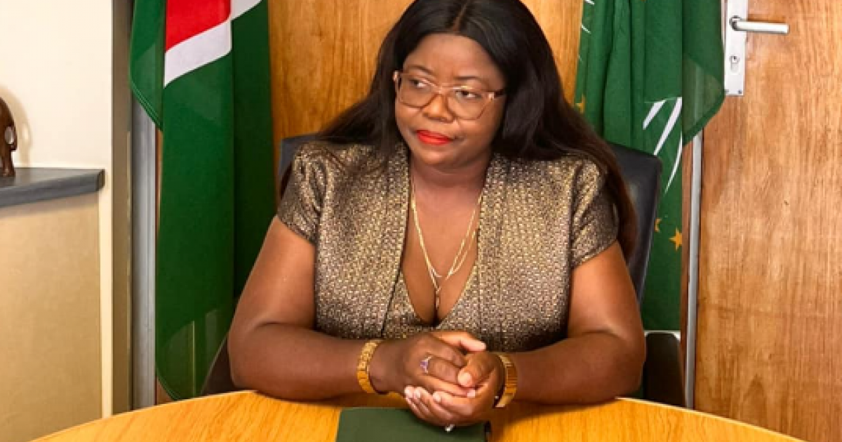 Deputy Minister Matundu says Africans can promote intra-continental ...