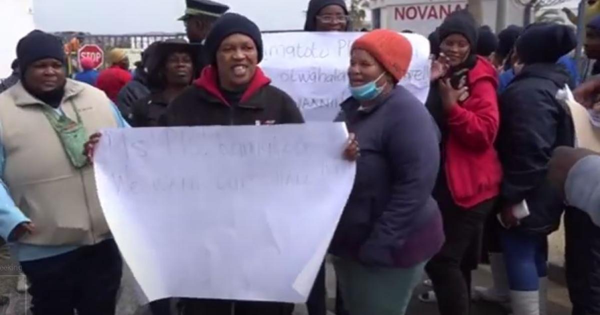 Workers of NovaNam unhappy with distribution of shares | nbc