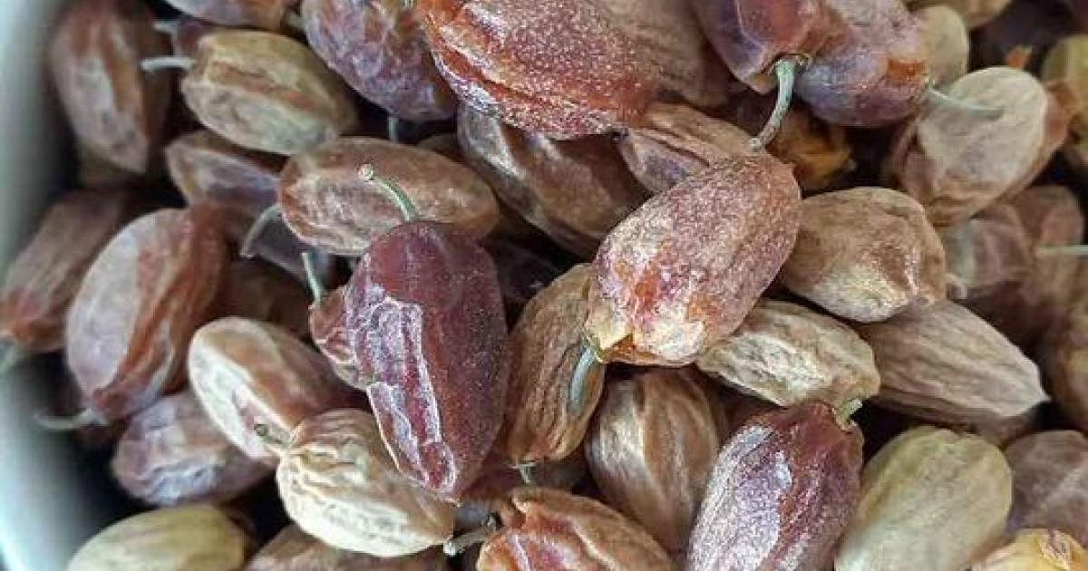 Elombe Village women receive jam-making training | nbc