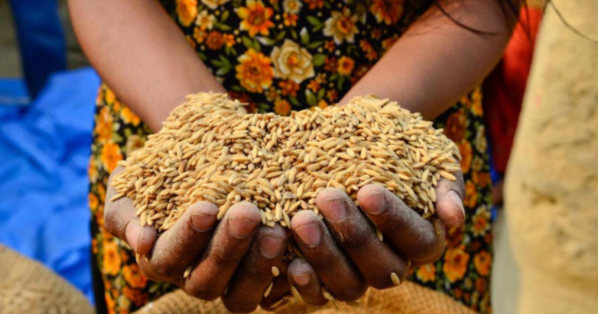 About 260 million people face acute food insecurity | nbc