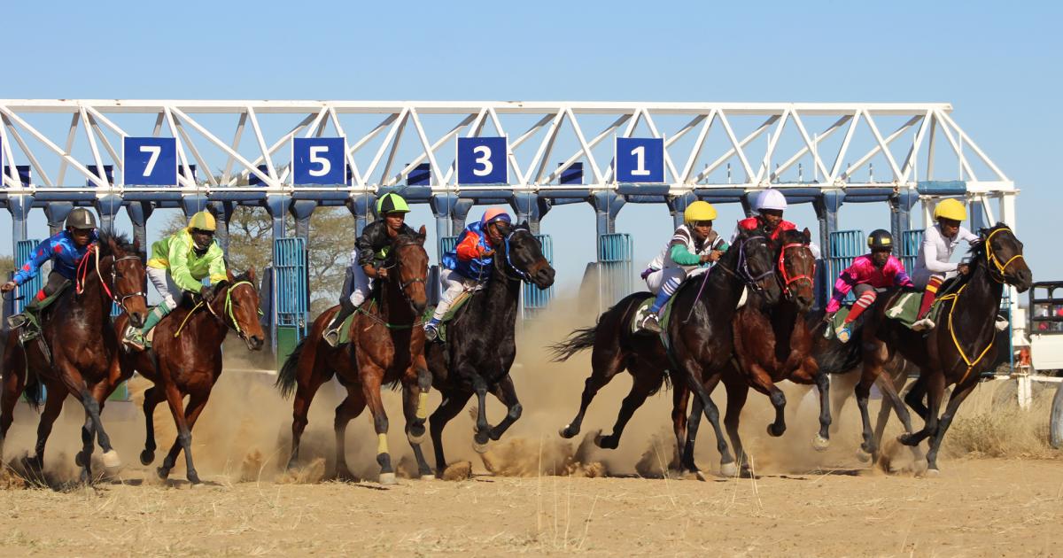 Local Horse owners praise Namibia Horse Racing Association leadership | nbc