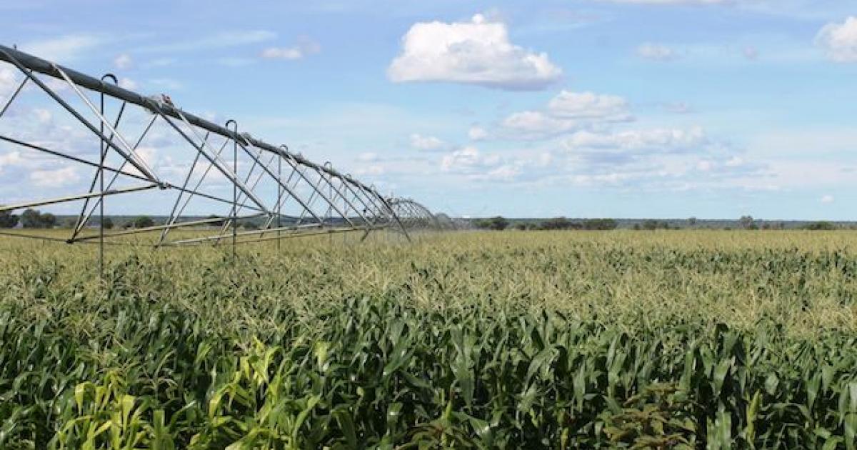 Hardap Dam's low levels worry farmers | nbc