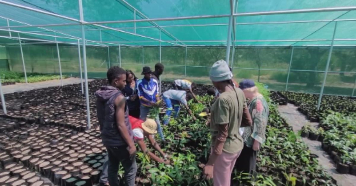 UNAM's Ogongo campus Indigenous Parks Project on the right track | nbc